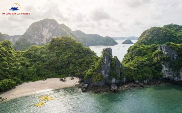 Facts about halong bay: Things you need to know