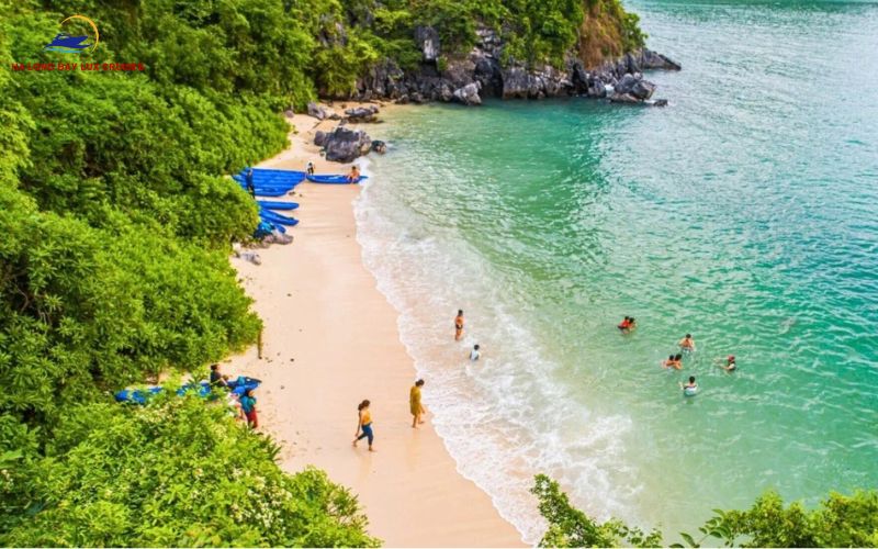 Exploring the pristine beaches of Ha Long Bay